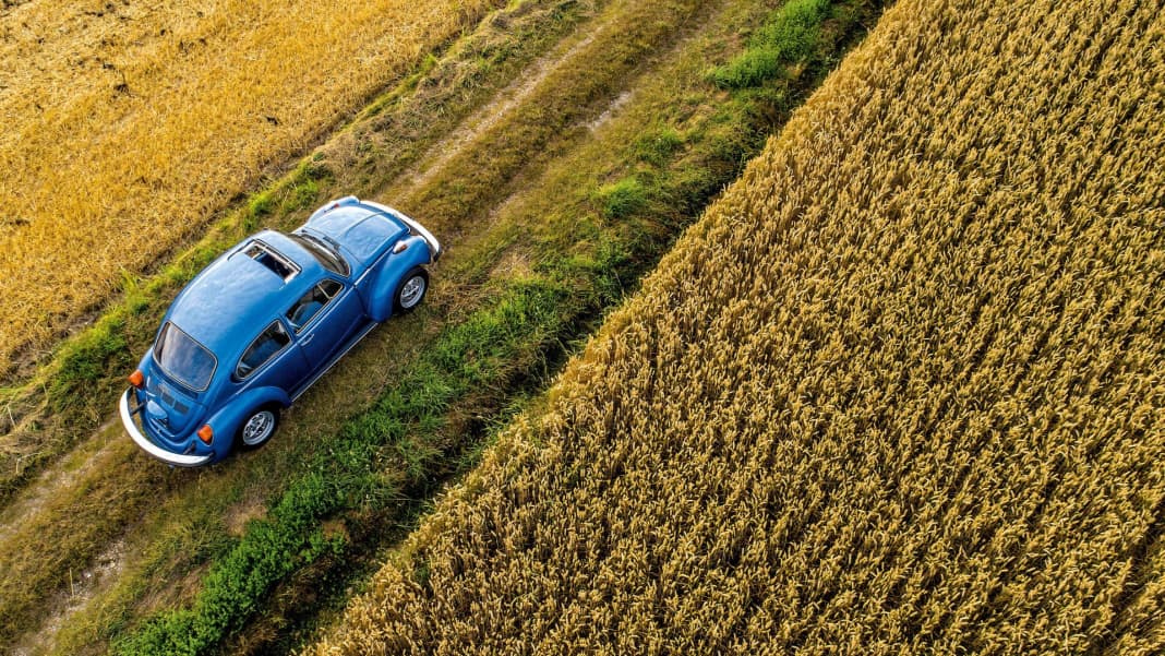 VW Käfer | La Grande Bug - Der Grandseigneur | Gute Fahrt