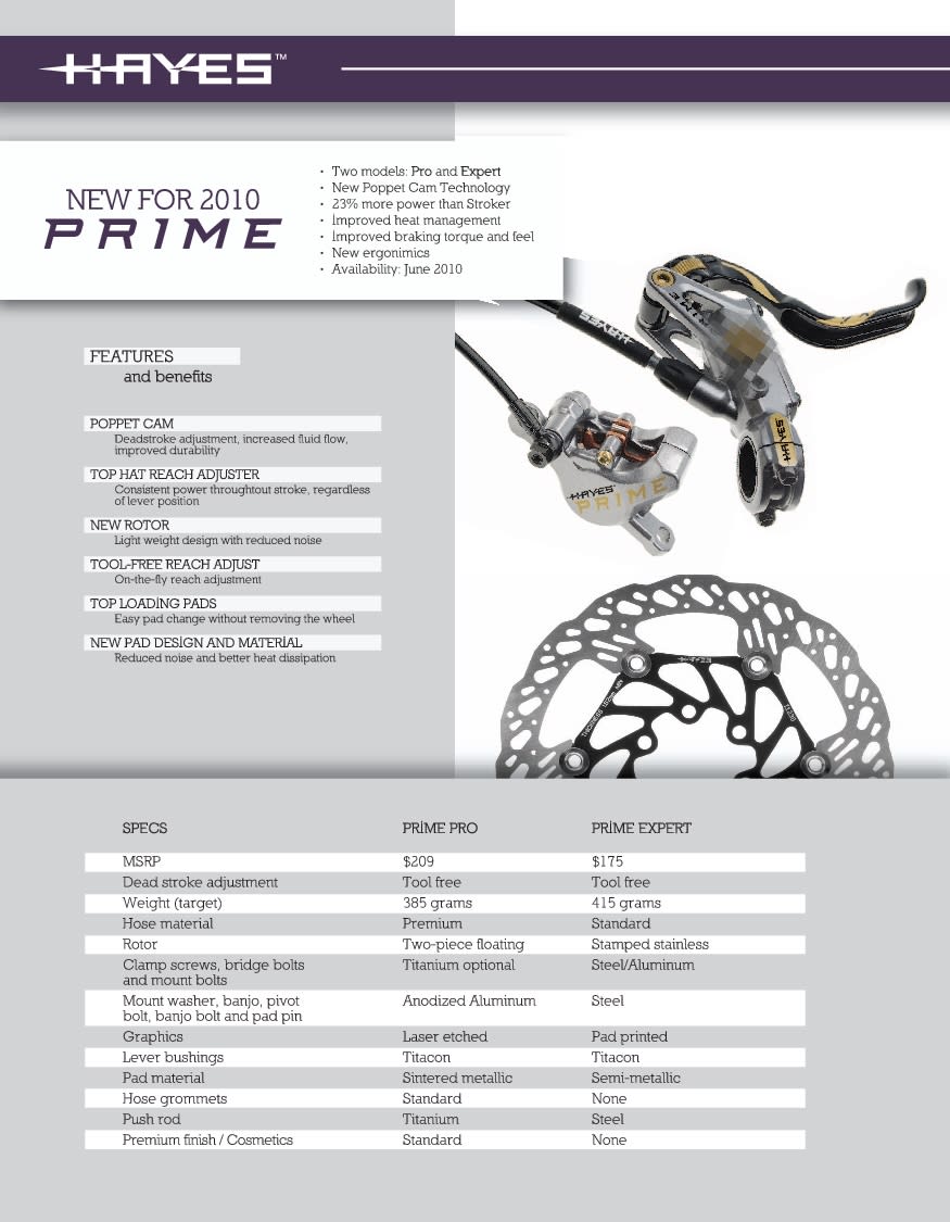 Datenblatt Hayes Prime | Delius Klasing SHOP
