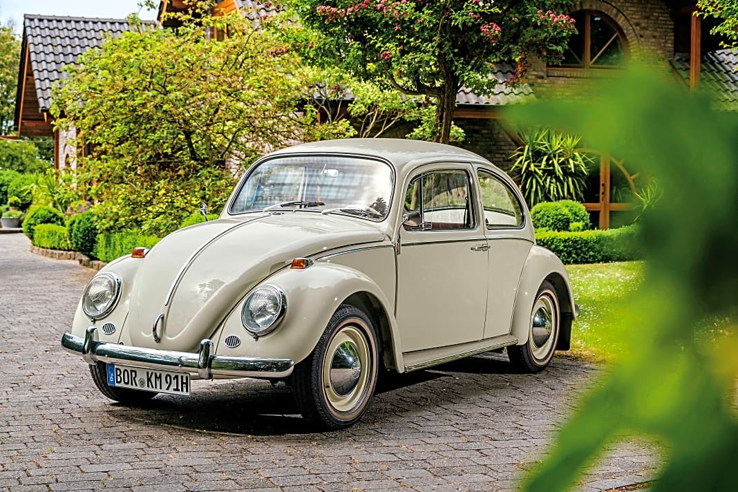 VW Limousine Export: Der Geheimnisträger | Gute Fahrt