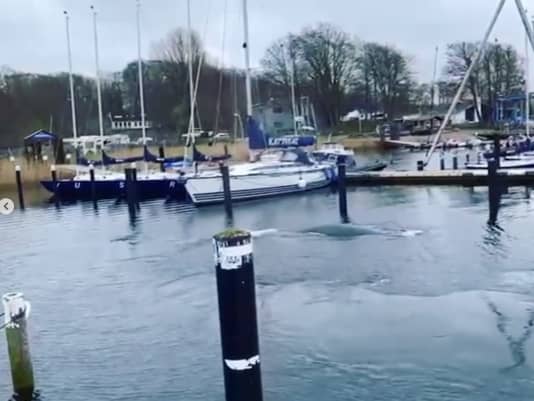 YACHT: Europas größtes Magazin rund ums Segeln | YACHT