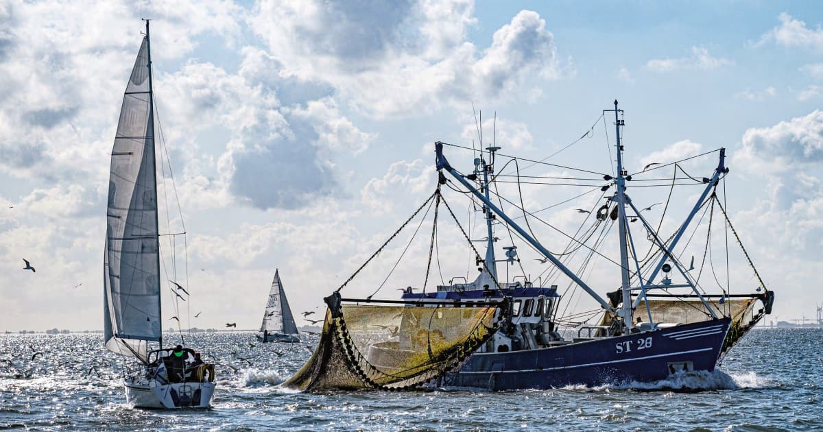 Vorfahrtsregeln für Segler - die große Übersicht | YACHT