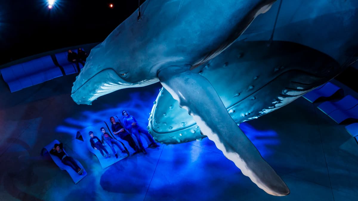 Deutschland: Maritime Museen - sechs Highlights | BOOTE