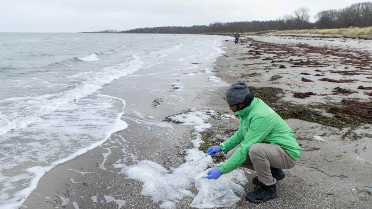Greenpeace study: Toxic substances detected in sea foam along the ...