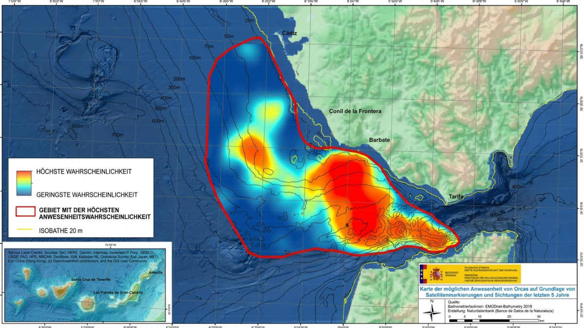 Iberian coast - Orcas more active again. Already six attacks in May ...