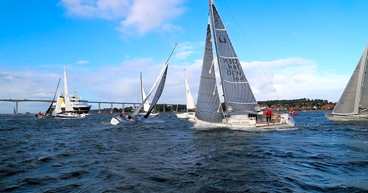 Einhand-Regatta: Online-Meldung für Silverrudder startet am Sonntag um ...