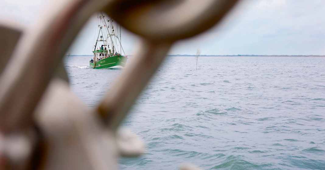 Reportage: Wie Sie stressfrei übers Wattenmeer kommen | BOOTE