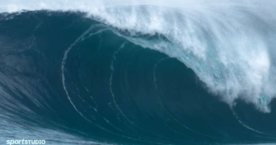 TV tip: Two-part documentary on the history of surfing in the ZDF media ...