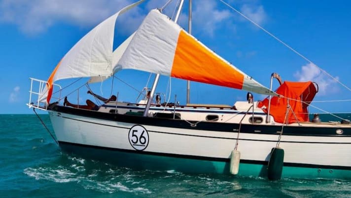 golden globe skippers