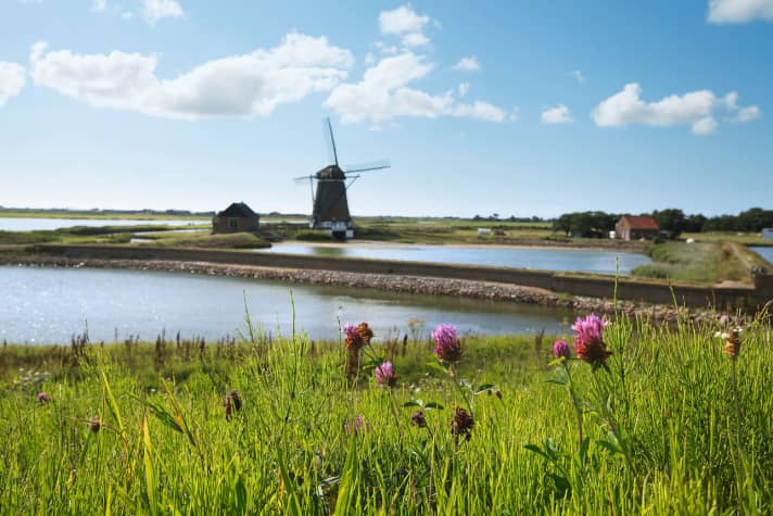 Territory: Texel / Netherlands - Lost property | BOOTE