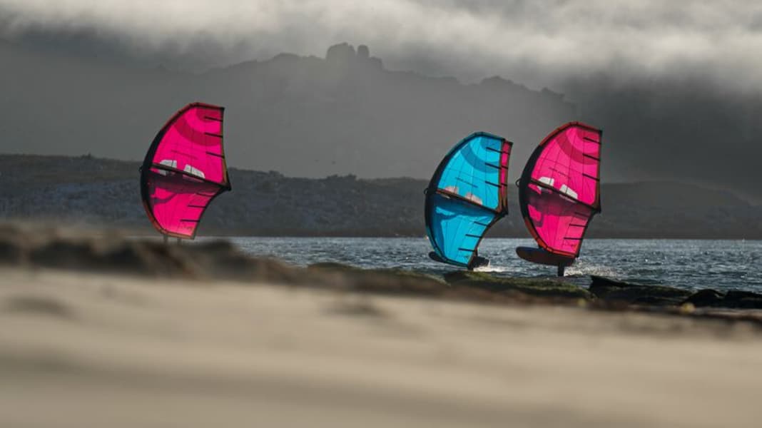 Wingsurfen lernen: So findest du den passenden Wing | SURF