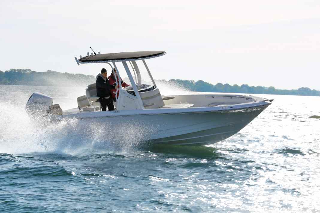 Boston Whaler 250 Dauntless: Unsinkable legend with "fishing DNA" | BOOTE