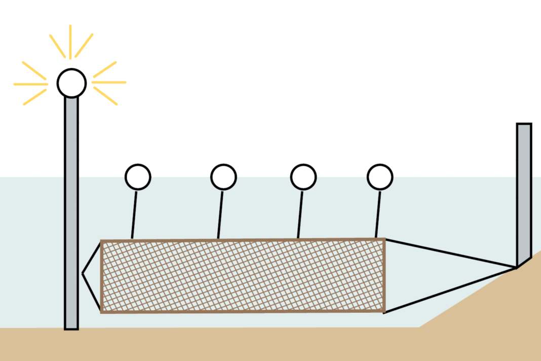 Fishing nets: These fishing systems exist and how to avoid them | BOOTE