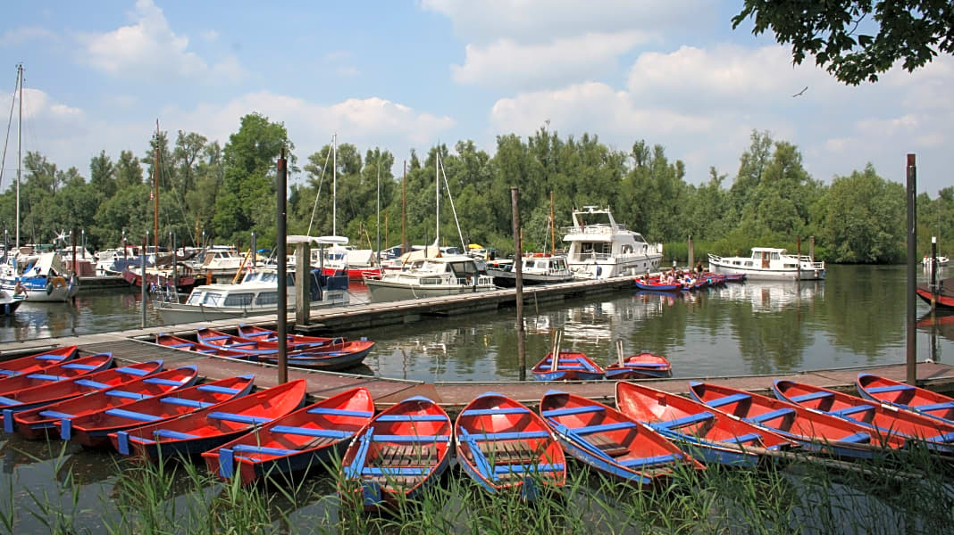 Amazonien nebenan - Niederlande: Maas und Biesbosch | BOOTE