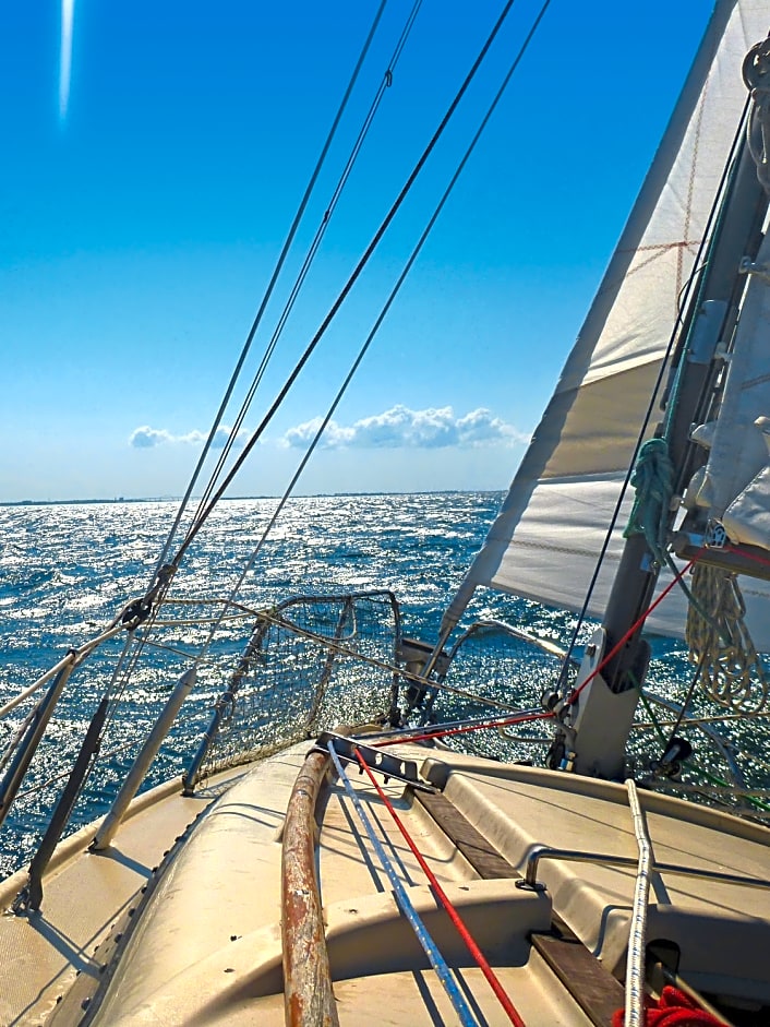 Kleinkreuzer: Kompaktes Format trifft auf Vielseitigkeit | YACHT