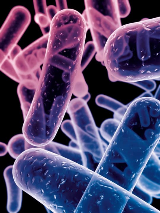 Guide: Diesel bacteria - Small cause, big effect: Bacteria in diesel ...