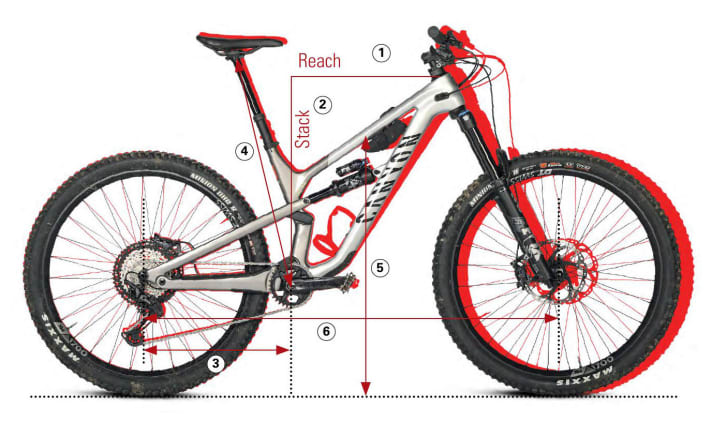 Wahl der richtigen Rahmengröße: Neben Körpergröße zählen Proportionen | BIKE