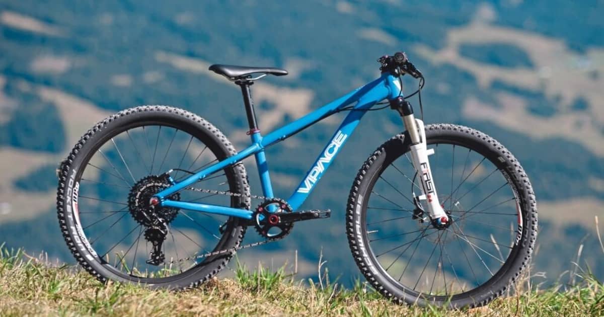 Vpace Max24 – Kidsbike im Test | BIKE