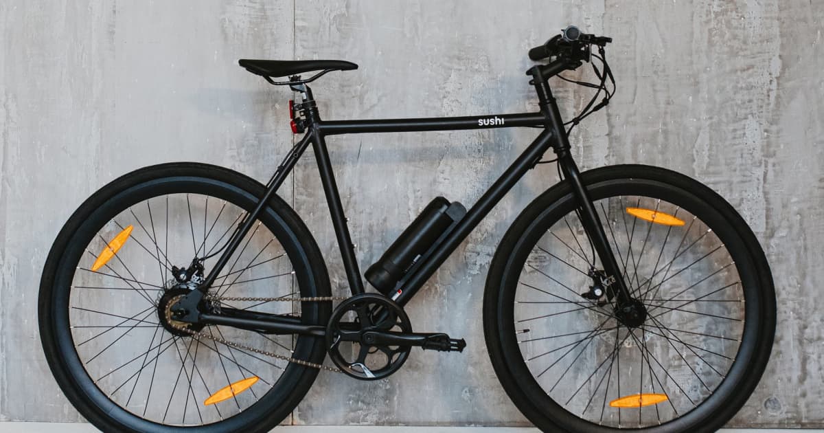 Sushi Bike im Test: Was kann ein E-Bike für 1.000 Euro? | BIKE