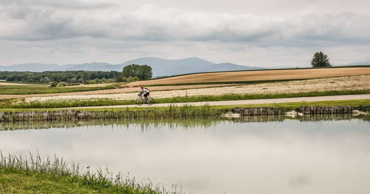 Frankreich, Sundgau: Rennradtouren im südlichen Elsass - Wo sich ...