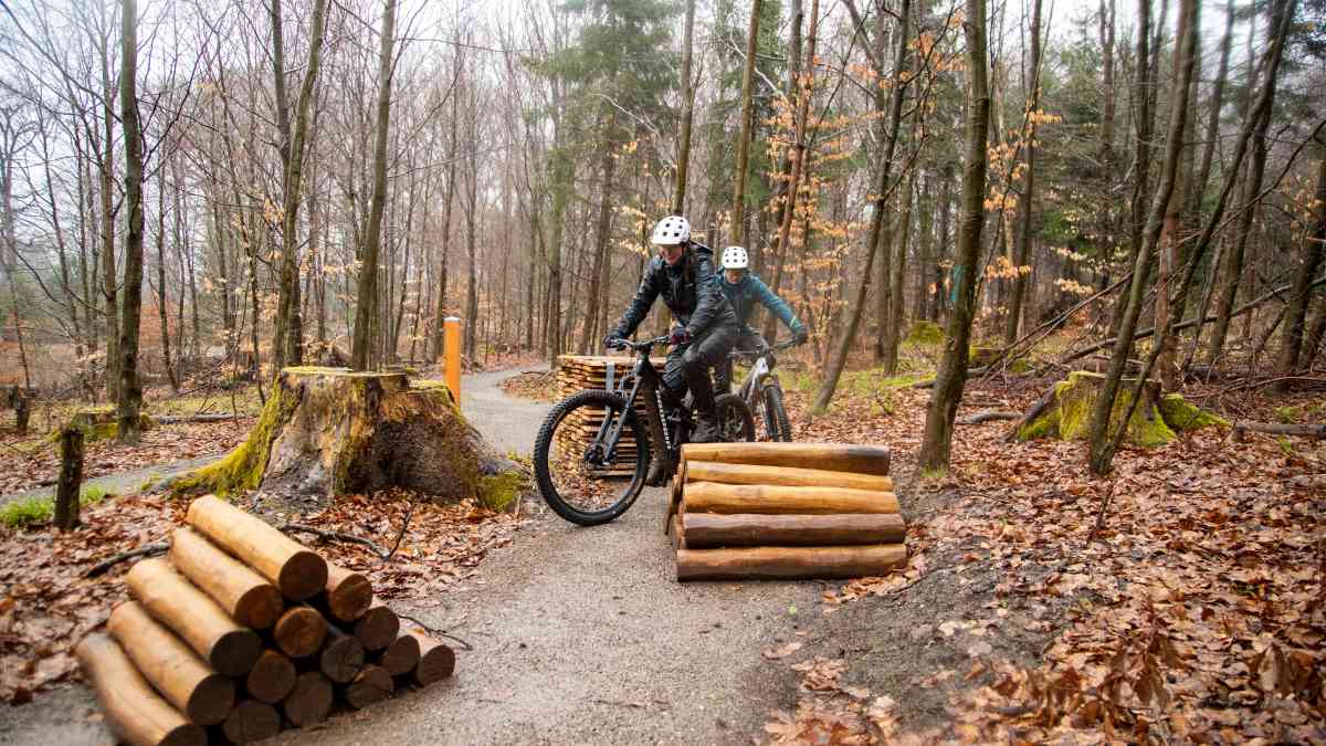 Green Trails Hessen: How is Europe's biggest trail project going? | BIKE