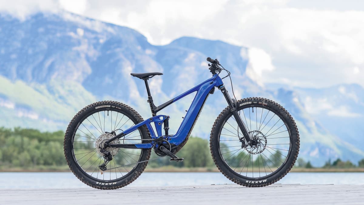All-mountain e-bike test 2022: Giant Trance X E+ 2 in the EMTB reader ...
