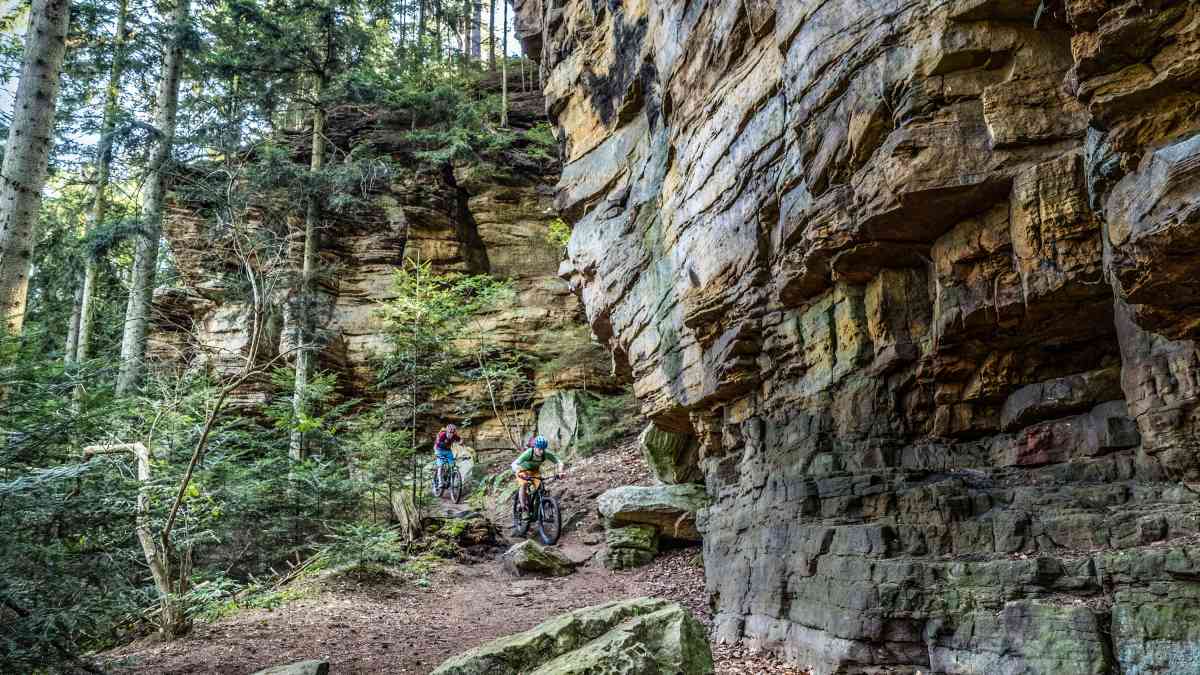 MTB-Paradies Luxemburg?: 4 fürstliche Trail-Tage in den Ardennen | BIKE