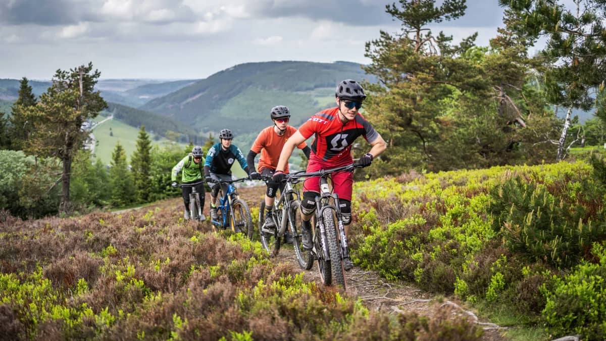 Down Country, All Mountain, Trailbike - der große Lesertest 2022 | BIKE