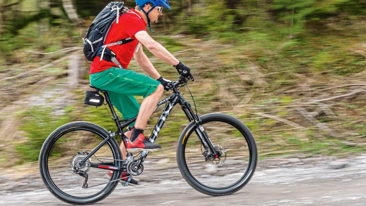 Nachrüstmotor Vivax Assist 4.75 im Test | BIKE