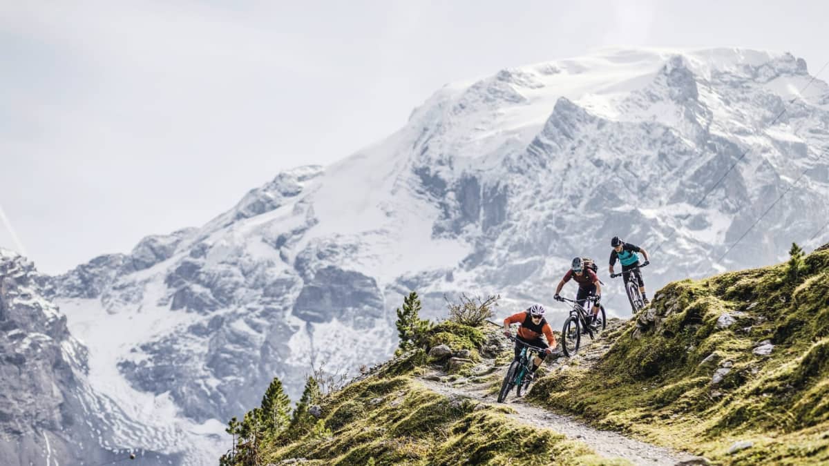 Price banger: all-mountain bikes around 3000 euros in the test | BIKE