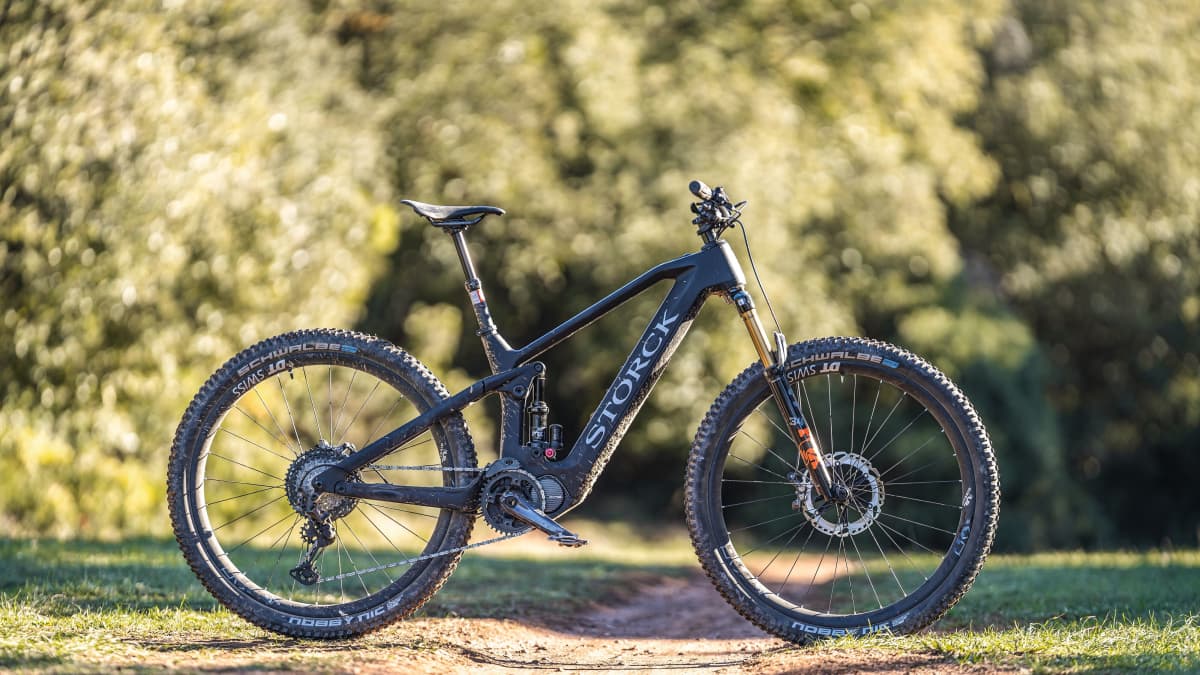Storck e.drenalin.2 GTS 500 im Light-E-MTB-Test: Shimano & Leichtbau | BIKE