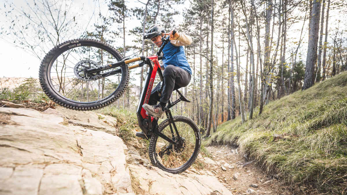 Das beste E-MTB 2026: Das Cannondale Moterra wird Testsieger! | BIKE