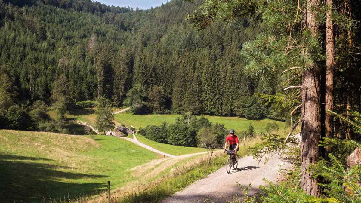 Gravel weekend Freudenstadt: Black Forest trails & enjoyment | BIKE