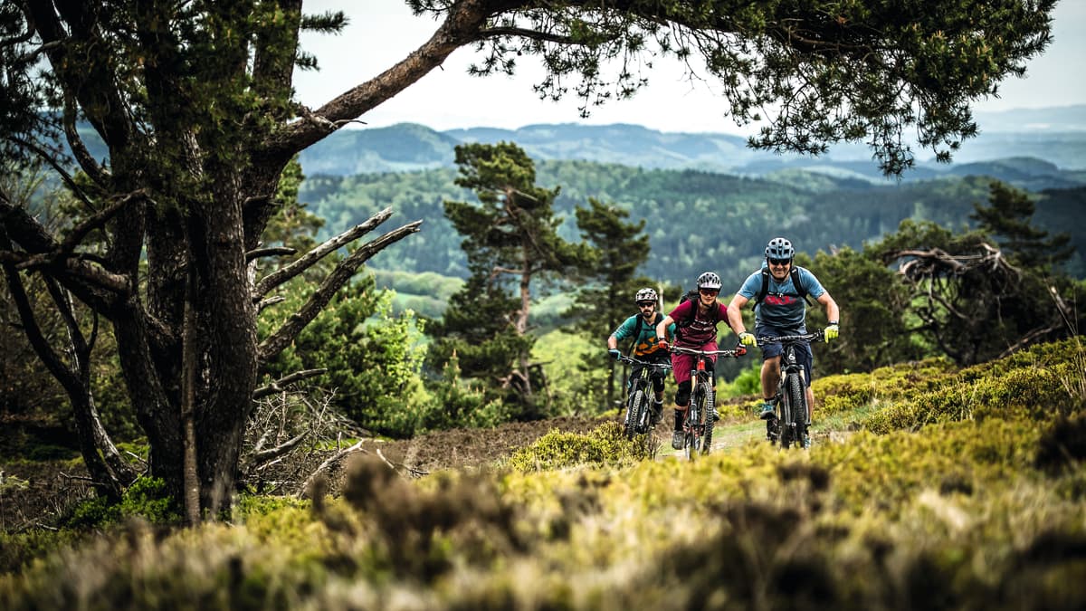 Projekt Green Trails: Europas größtes Trailnetz in Hessen wächst | BIKE