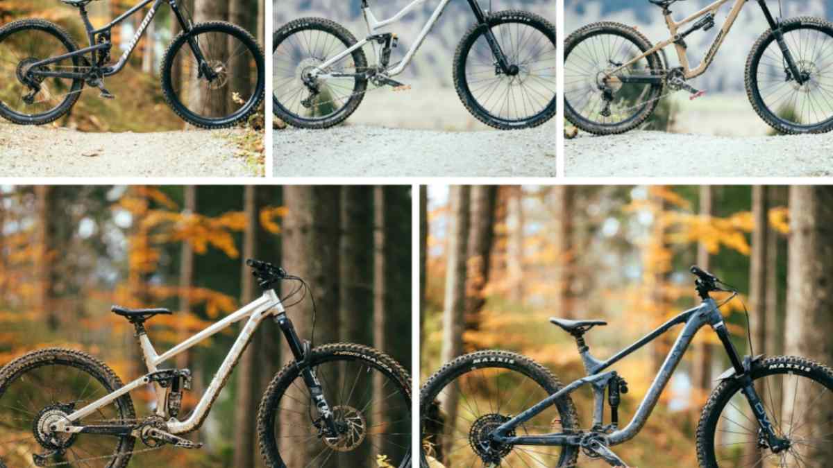 Sparbüchsen: Wer baut das beste Enduro unter 3200 Euro? | BIKE