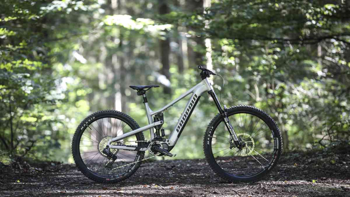 Propain Ekano 2 AL on test: E-freerider for all downhill positions | BIKE