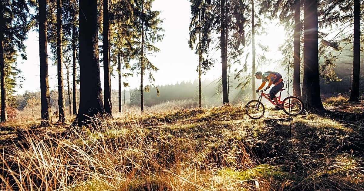 Diese 6 Mountainbike-Trails sind auch im Winter meist trocken! | BIKE