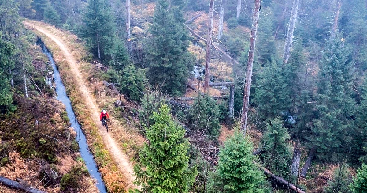 Revier-Report Harz: Tanz um den Blocksberg – Top-Spots am Brocken | BIKE