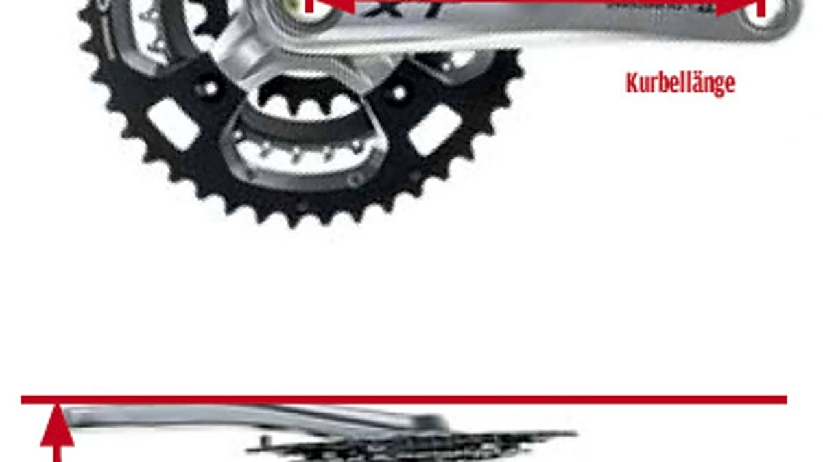 Der Antrieb - sämtliche Montagearbeiten | BIKE