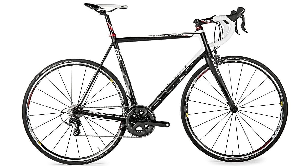 Bulls Desert Falcon Pro | TOUR