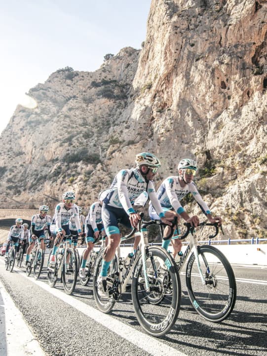 Teams | TOUR