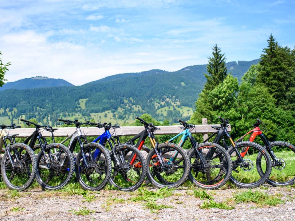 Kaufberatung: Das perfekte Fahrrad finden | BIKE