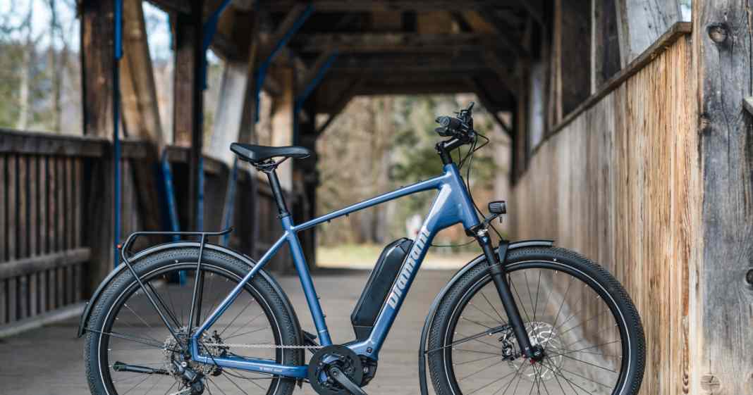 Diamant Zing Trip Plus im Test: Erfrischend anders! | BIKE
