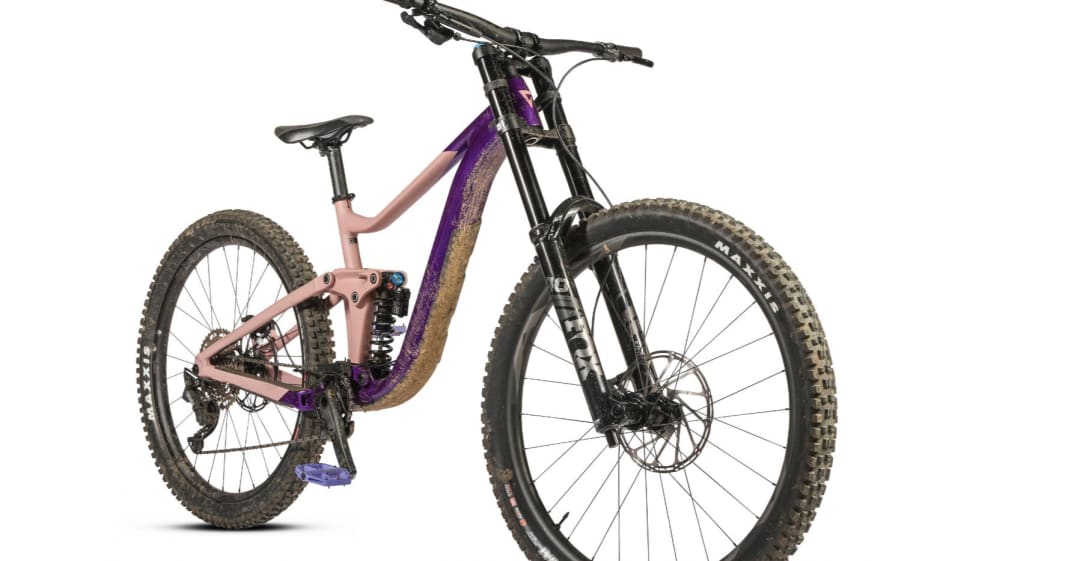 Freerider 2023: Giant Reign SX im Test - der Regierungswechsel | BIKE