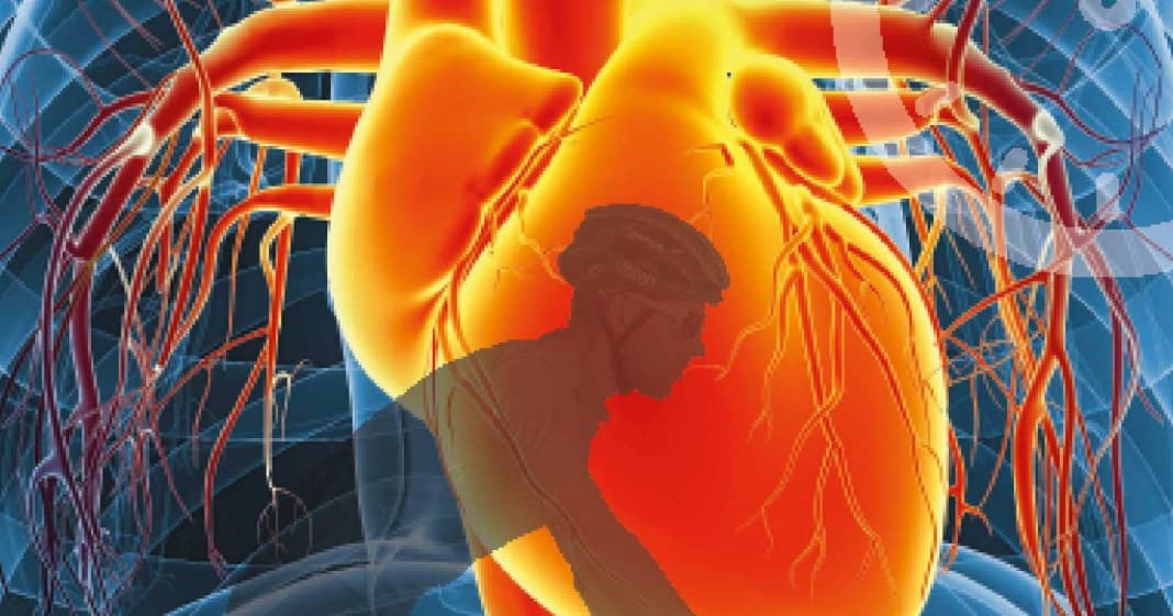 Fitness-Check Herz: So bleibt ihr Herz gesund! | BIKE