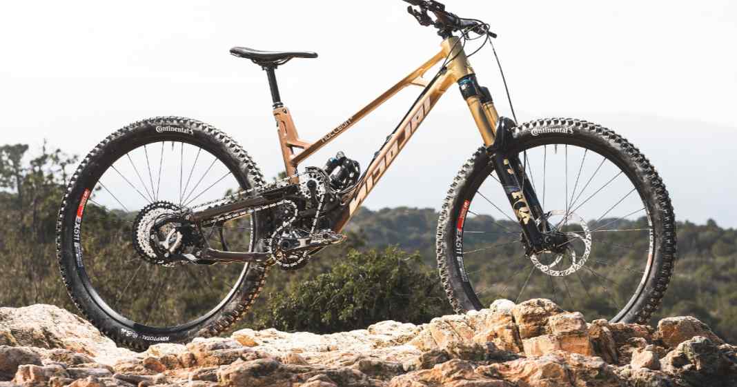 Nicolai Nucleon 16 mit Supre-Antrieb im Test: Bike mit Kettenreaktion ...