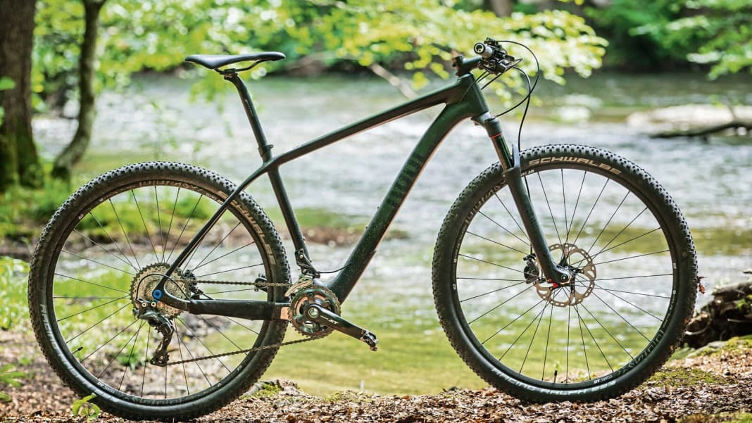 Rose Psycho Path 2 im Test | BIKE