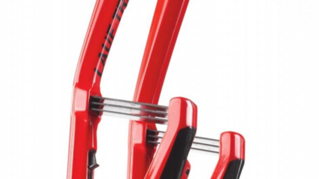Parallelogramm-Gabel von Lauf im Test | BIKE