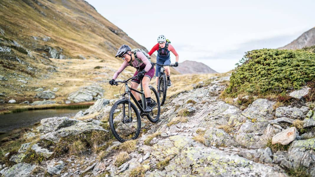 Whyte 429: trailiges Hardtail im Test - Einsteiger-Hardtails 2023 | BIKE