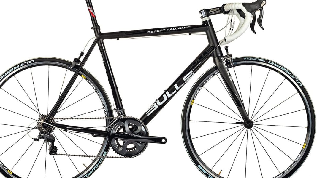 Bulls Desert Falcon Pro | TOUR