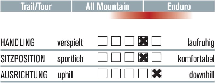 Votec VM Elite im Test | BIKE